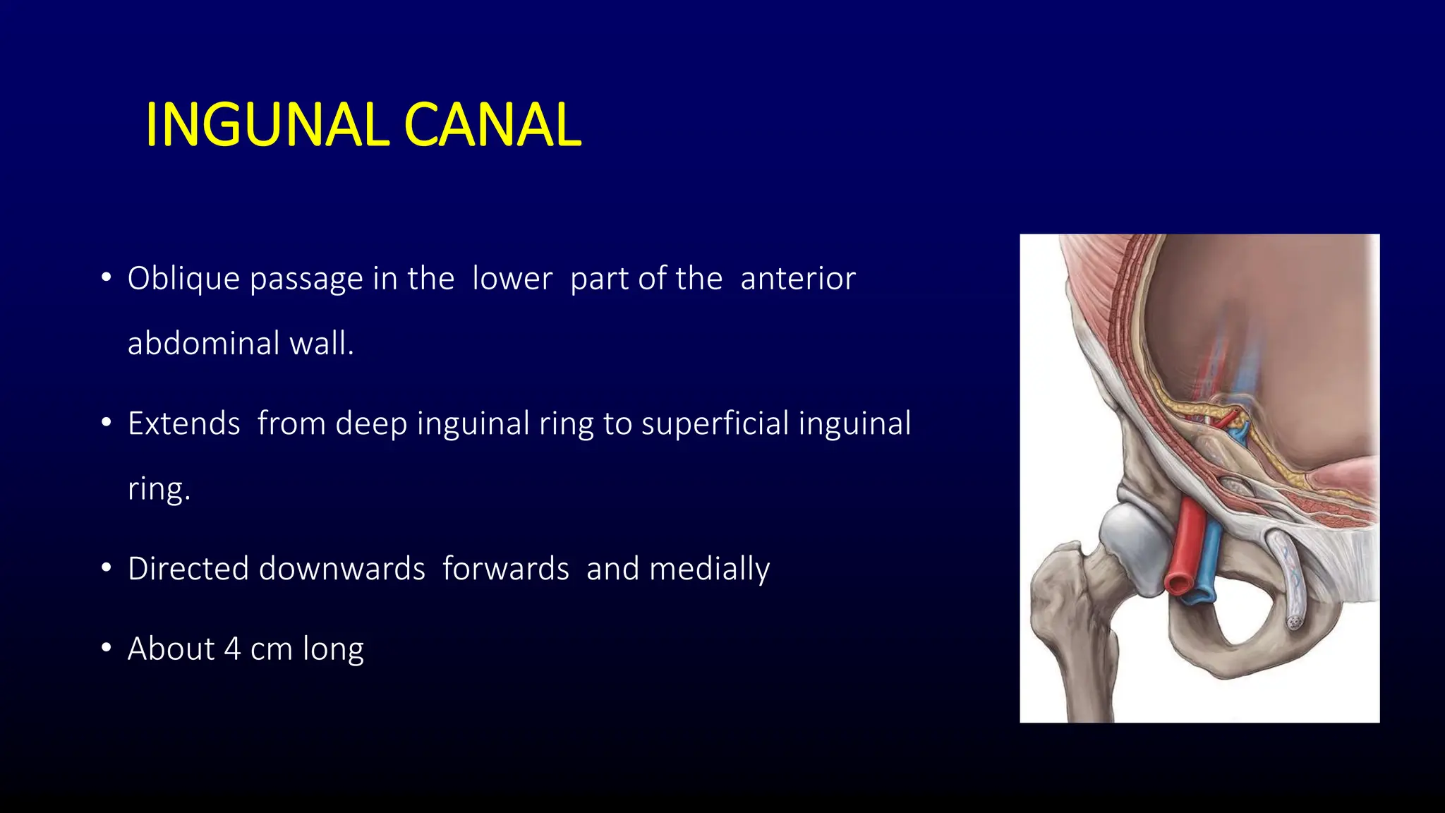 Hernia Repair (Lichtenstein) Kuliah.pptx