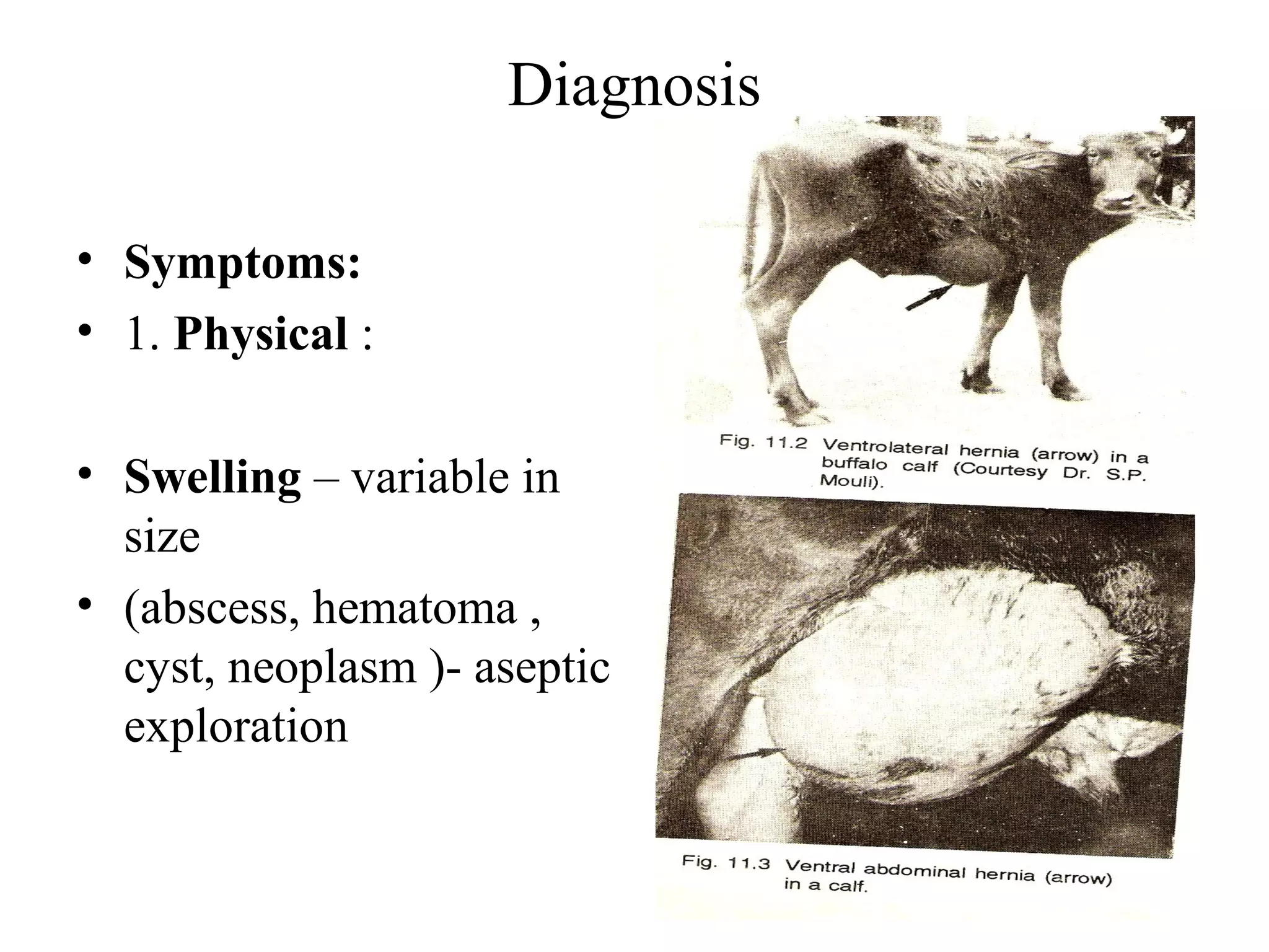 Hernias and its classification in small animals | PPT