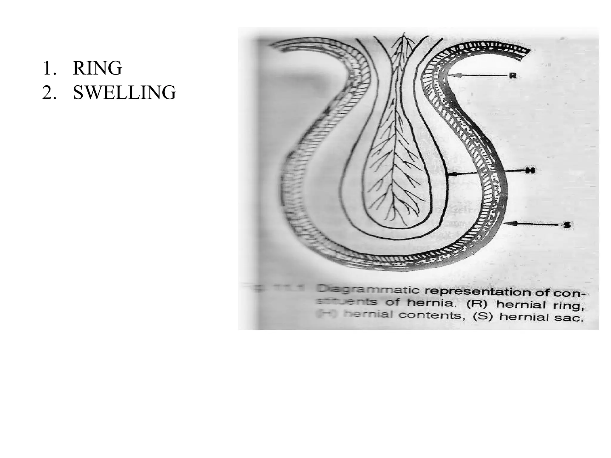Hernias and its classification in small animals | PPT
