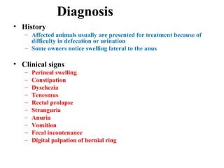 Hernias and its classification in small animals | PPT