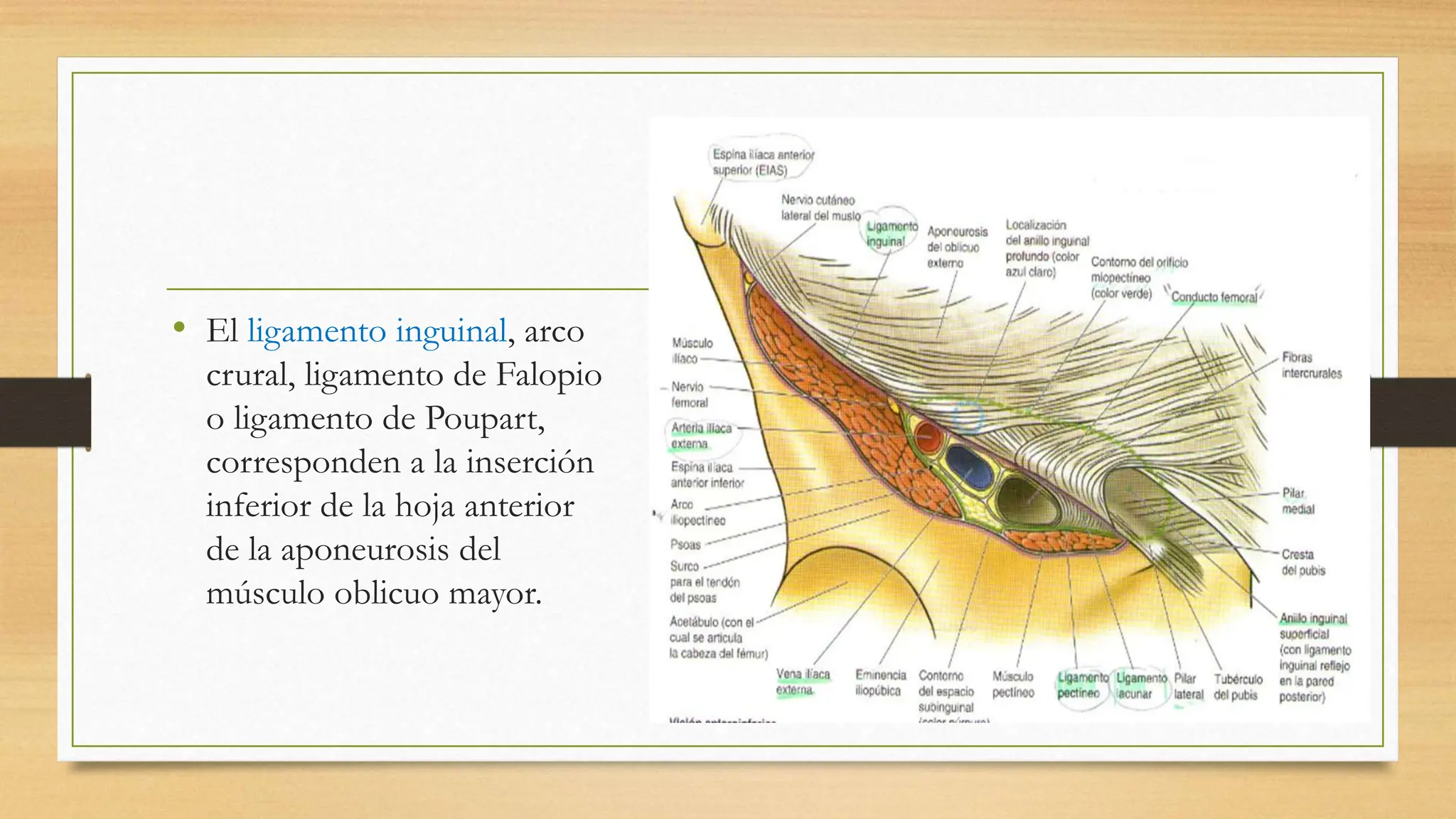 HERNIAS inguinales diagnóstico etiología y tratamiento | PPTX