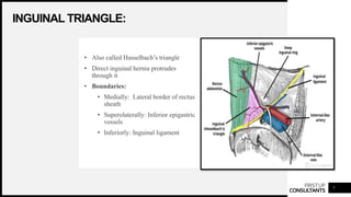 Hernias definition, types, surgical anatomy of inguinal hernia | PPTX