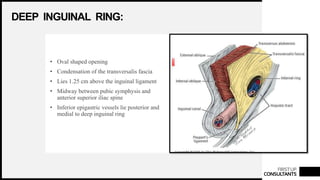 Hernias definition, types, surgical anatomy of inguinal hernia | PPTX