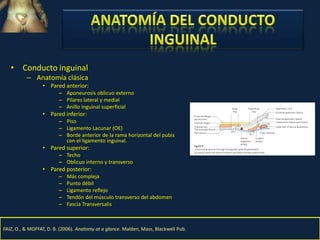 Hernias Inguinales FINAL.pptx
