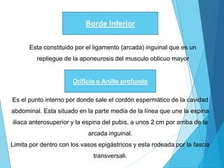 Hernias inguinal, crural, epigastrica | PPTX