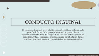 Presentación de Hernias abdominal e inguinales | PPTX