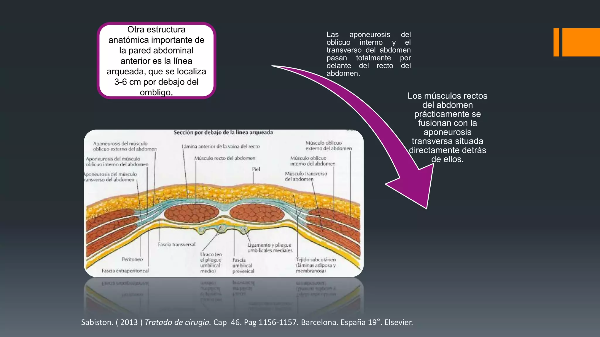 Hernias de la pared anterior y lateral del abdomen | PPTX | Surgery ...