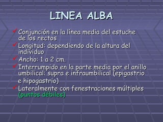 Hernias de pared abdominal anterior dr. hugo mansilla casas | PPT