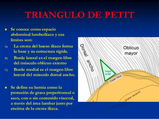 Hernias de pared enarm 2013