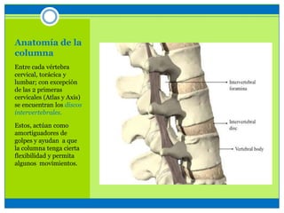 Hernias discales UP Med | PPTX
