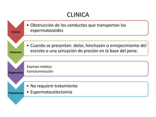Hernias inguinales | PPTX