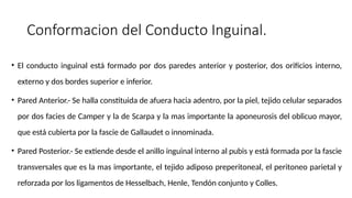 HERNIAS INGUINALES, CRURALES Y DE PARED ABDOMINAL_115726.pptx