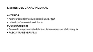 Hernias inguinales y femorales.pptx