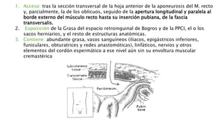 hernias inguinocrural. HERNIA HERNIA HERNIA HERNIA | PPTX