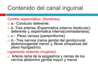 Hernias | PPTX