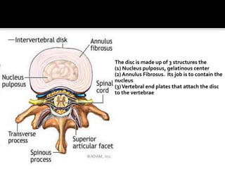 Herniated cervical disc | PPTX