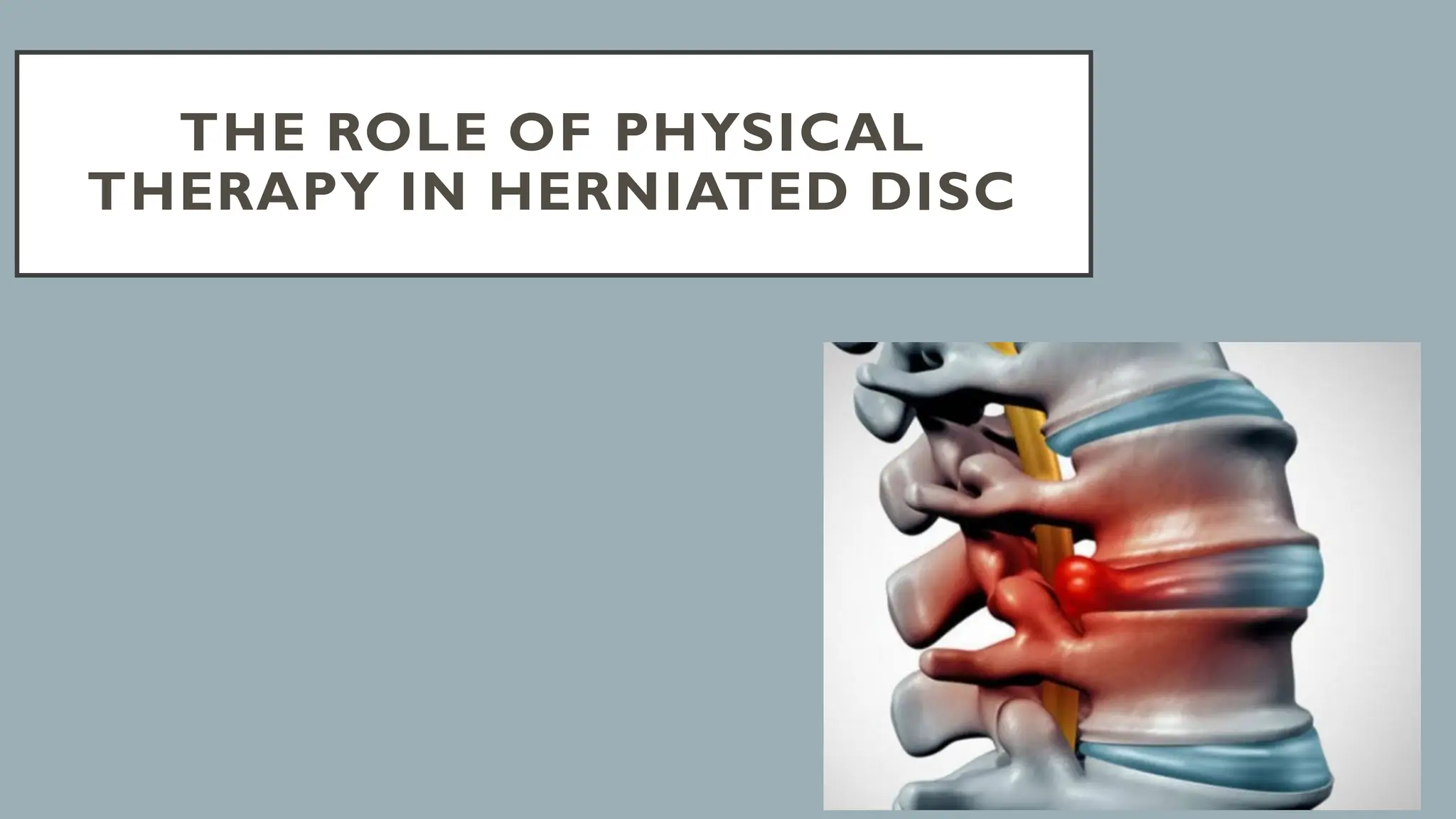 Herniated disc home exercise physiotherapy | PDF