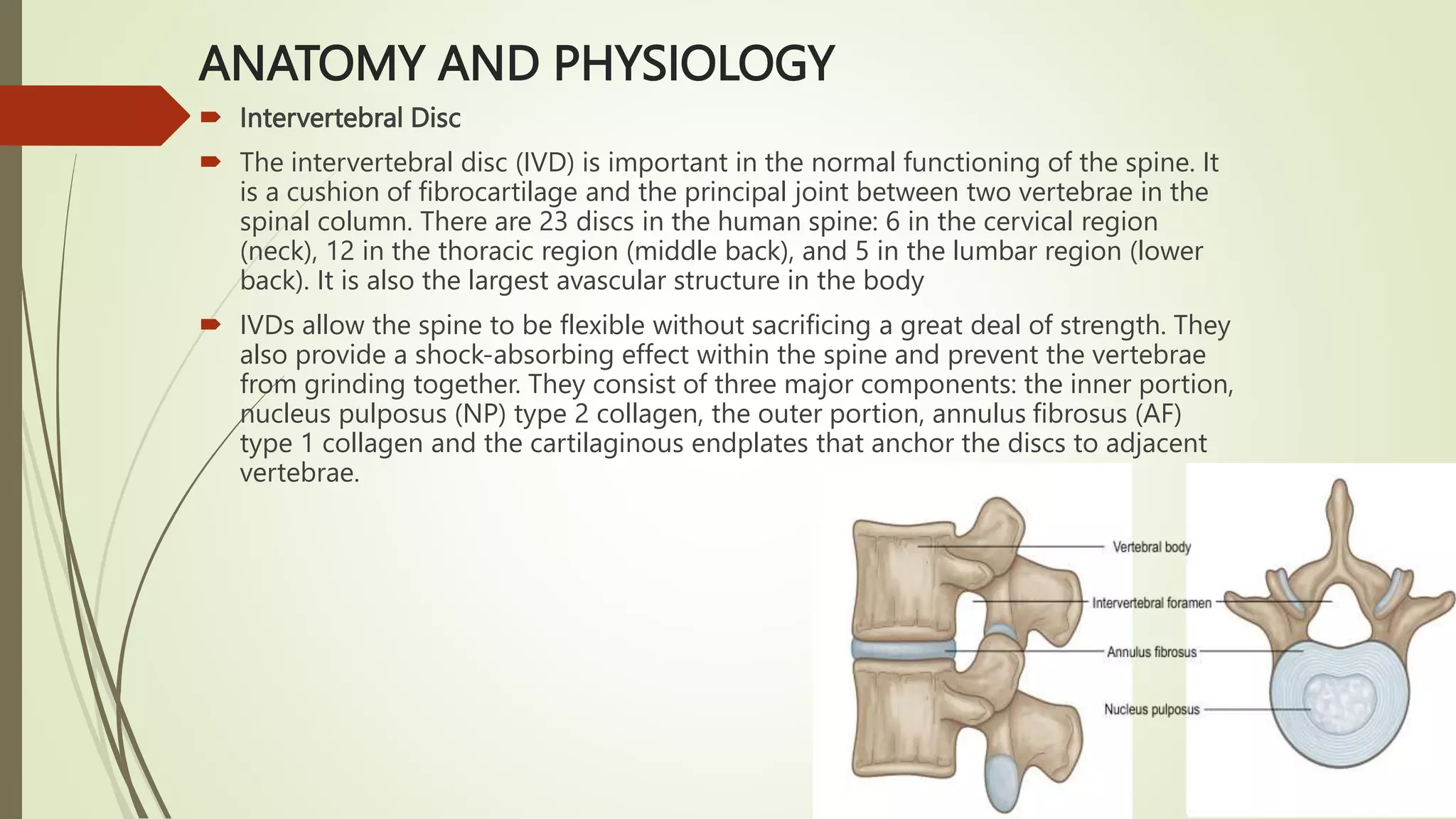 Herniated Nucleus Pulposus (HNP).pptx