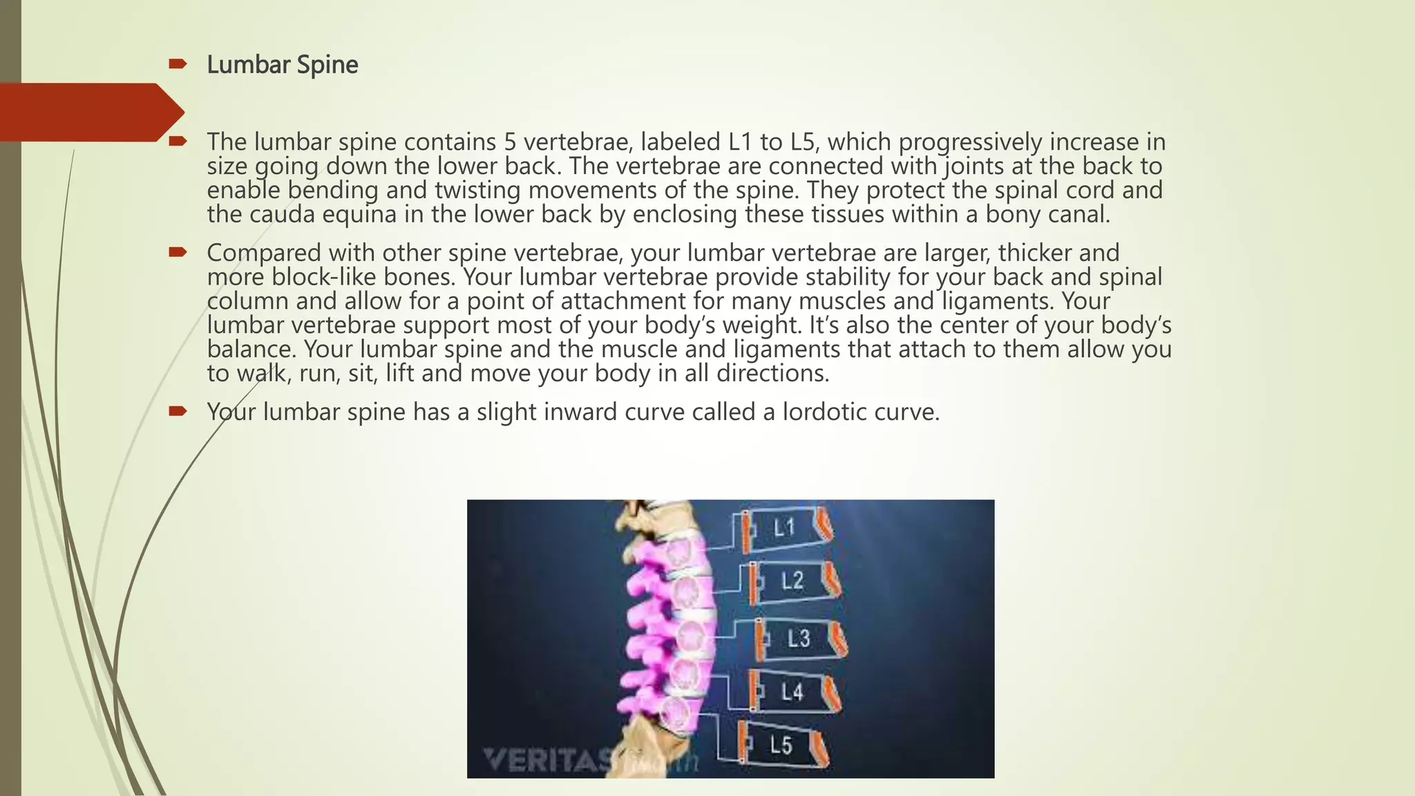 Herniated Nucleus Pulposus (HNP).pptx