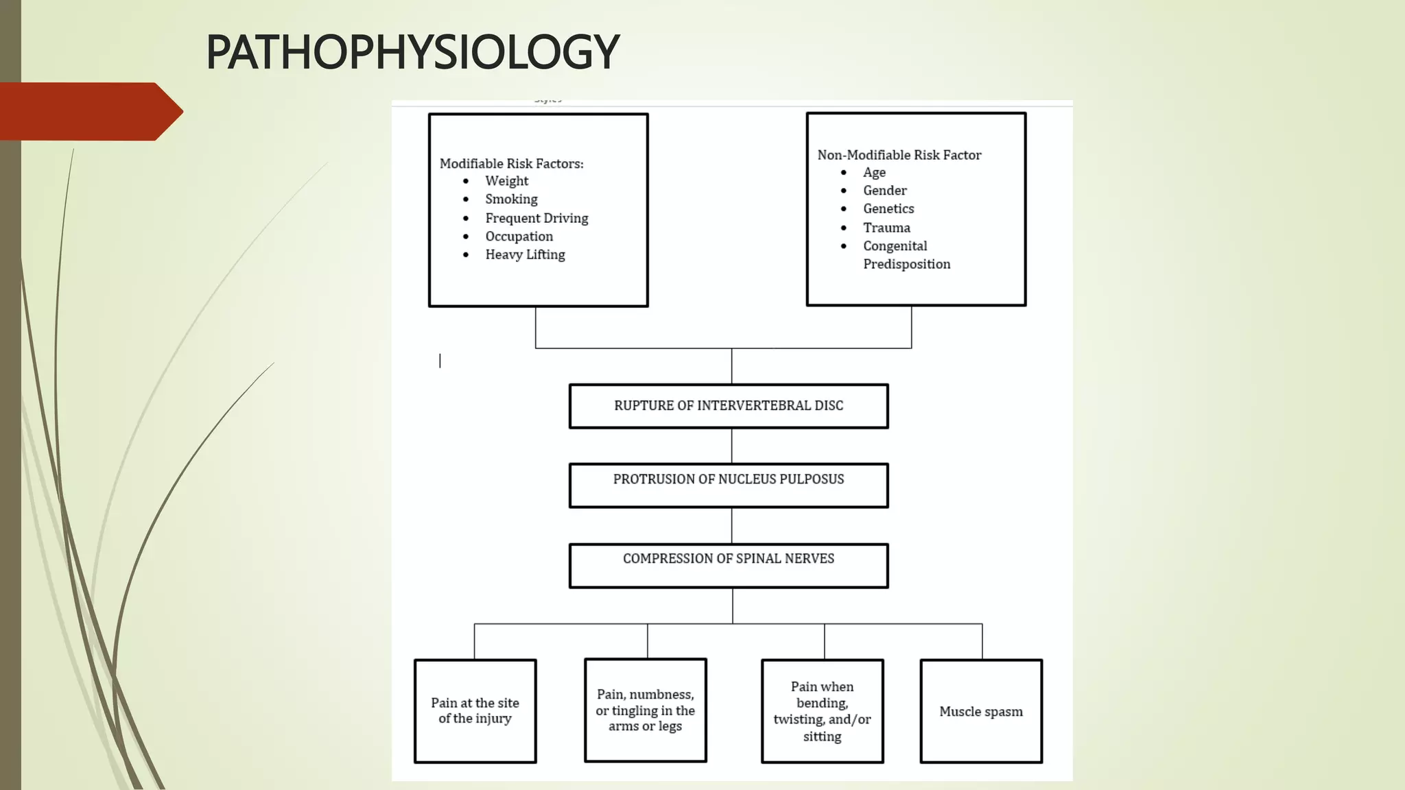 Herniated Nucleus Pulposus (HNP).pptx