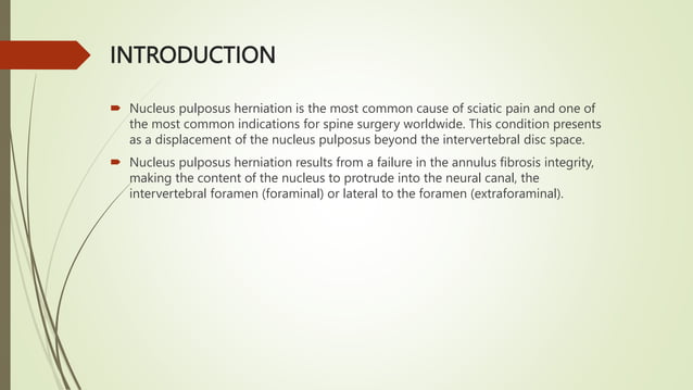 Herniated Nucleus Pulposus (HNP).pptx | Physical Therapy | Wellness