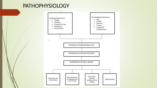 Herniated Nucleus Pulposus (HNP).pptx | Physical Therapy | Wellness