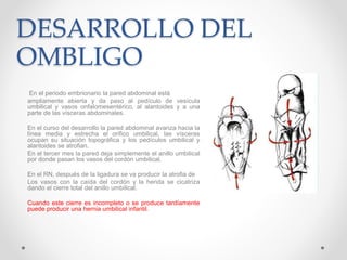 presentación Hernia umbilica clasificacionl.pptx