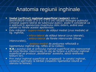 Herniile+inghinale+1+fara+animatie | PPT
