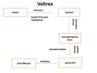 presentation on herpes , drugs ,mode of action of drugs ,drug targets ...