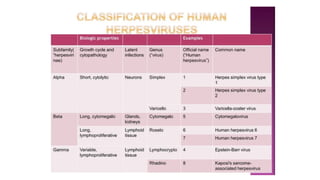 Herpes, Department of Physiotherapy, SHUATS | PPT