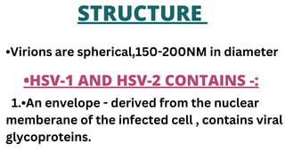 Herpes, Department of Physiotherapy, SHUATS | PPT