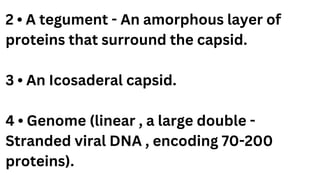 Herpes, Department of Physiotherapy, SHUATS | PPT