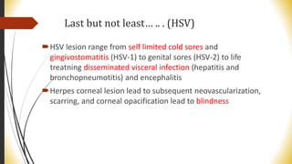 Herpes and cmv | PPTX