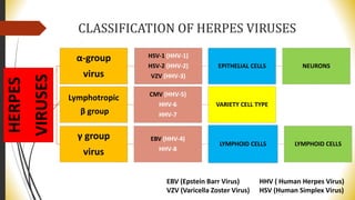 Herpes and cmv | PPTX | Infectious Diseases | Diseases and Conditions