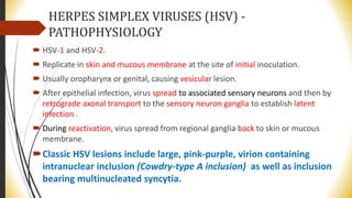 Herpes and cmv | PPTX | Infectious Diseases | Diseases and Conditions