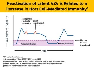 ABC of PREVENTION HERPES ZOSTER IN ADULT WOMEN | PPTX