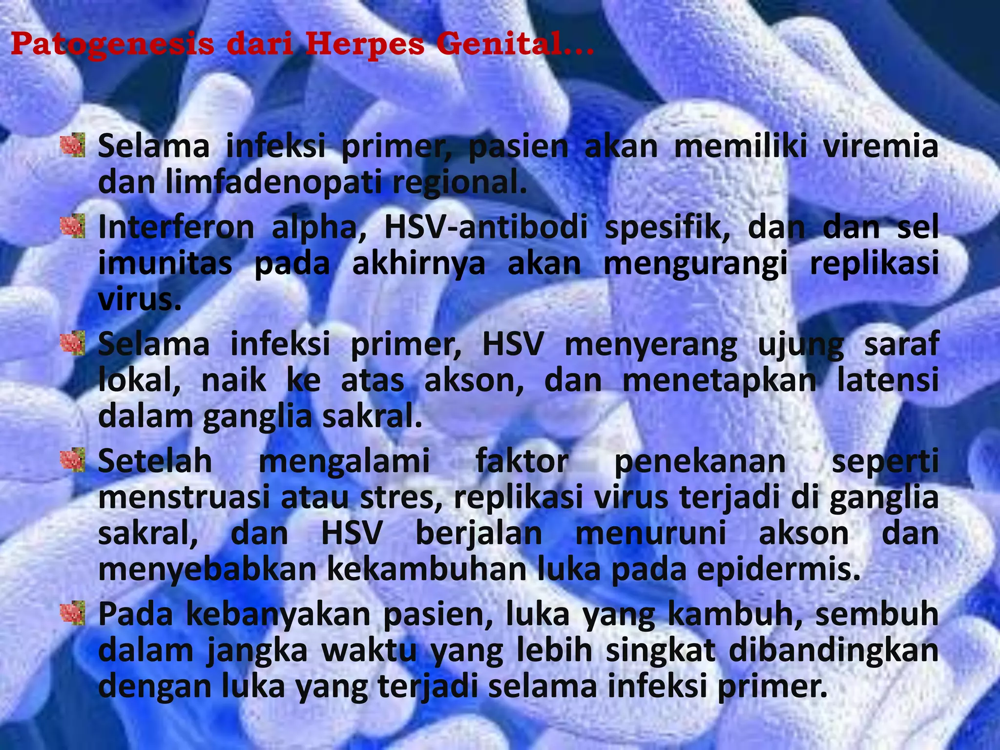 Herpes genital | PPTX