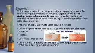 Herpes Genital.pptx