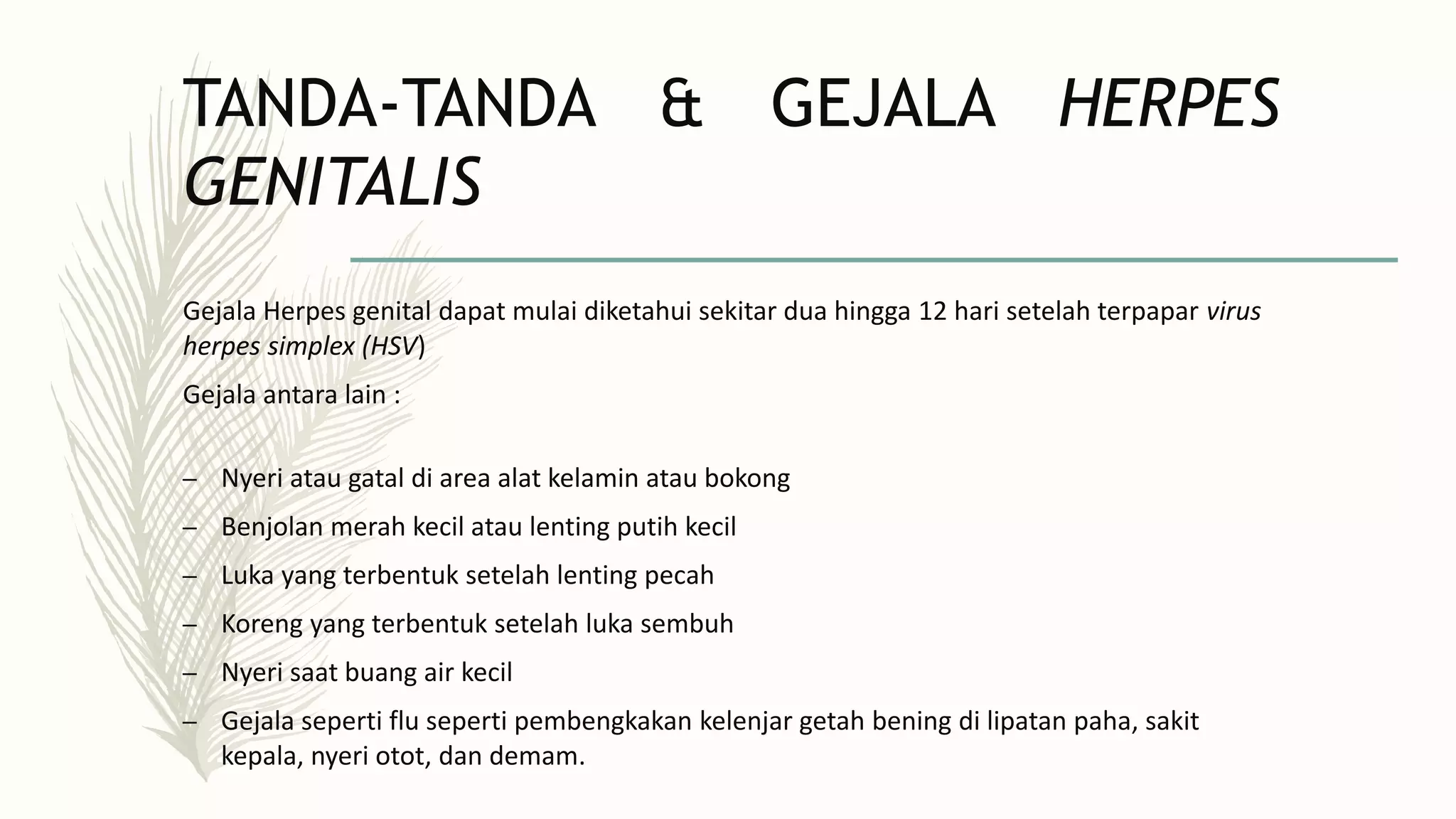 HERPES GENITALIS.pptx