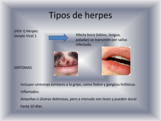 Herpes gonorrea y vph | PPTX