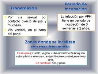 Herpes gonorrea y vph | PPTX