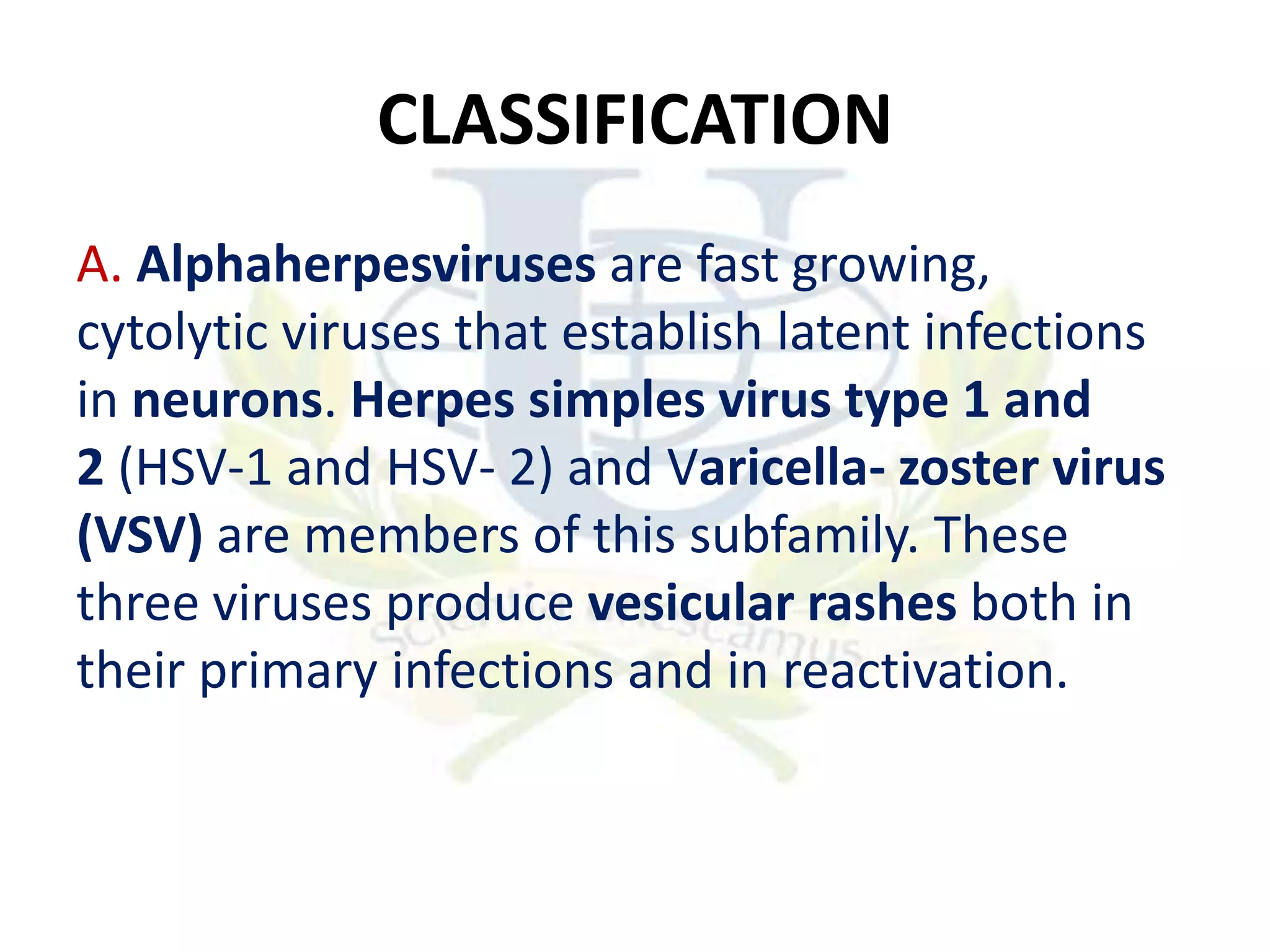 Herpes simplex | PPTX