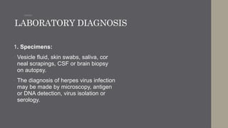 HERPES INFECTIONS PRESENTATION MICROBIOLOGY | PPTX