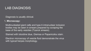 HERPES INFECTIONS PRESENTATION MICROBIOLOGY | PPTX