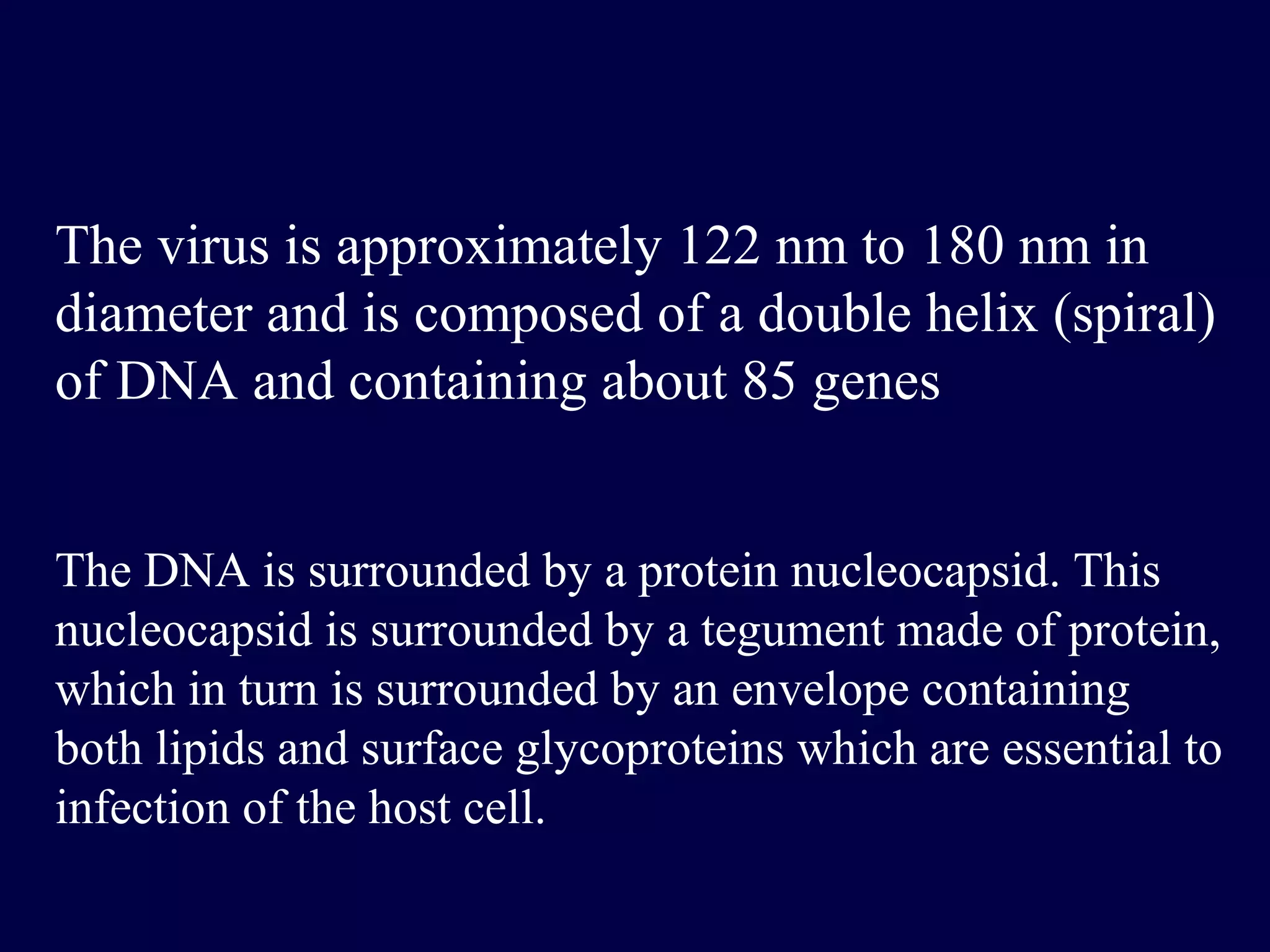Human Herpesviruses INFECTIOUS MONONUCLEOSIS 2016 | PPT