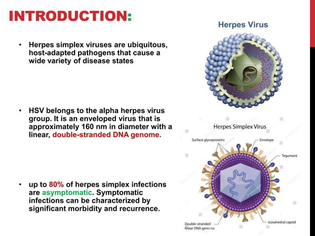 Herpes simplex infection(Hsv) | PPTX | Infectious Diseases | Diseases and Conditions