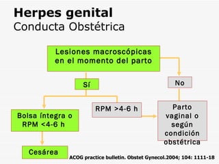 Herpes simplex perinatal | PPT