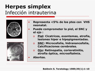 Herpes simplex perinatal | PPT