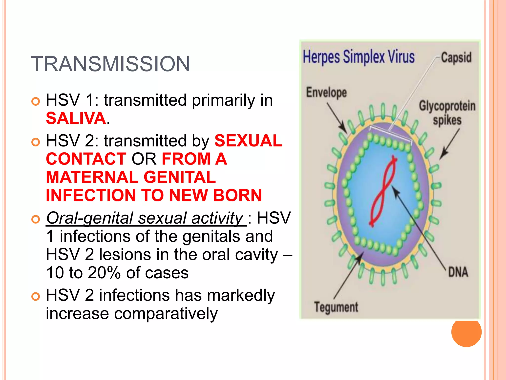 Herpes simplex virus, classification, clinical findings, oral manifestations, dental ...