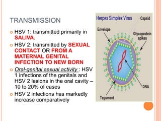 Herpes simplex virus, classification, clinical findings, oral manifestations, dental ...